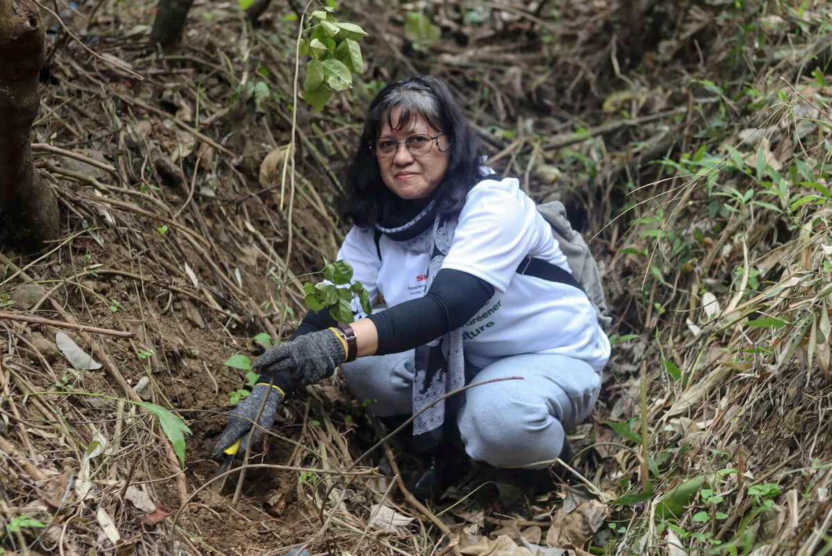 Sharp Philippines Planted 450 Narra Trees in Mt. Makiling - Next Feature PH